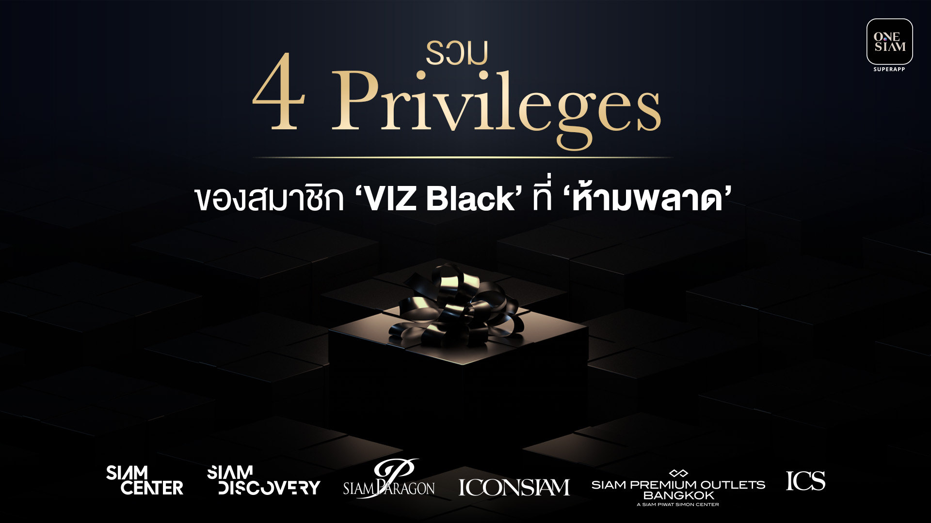 VIZ Black 4 Privileges